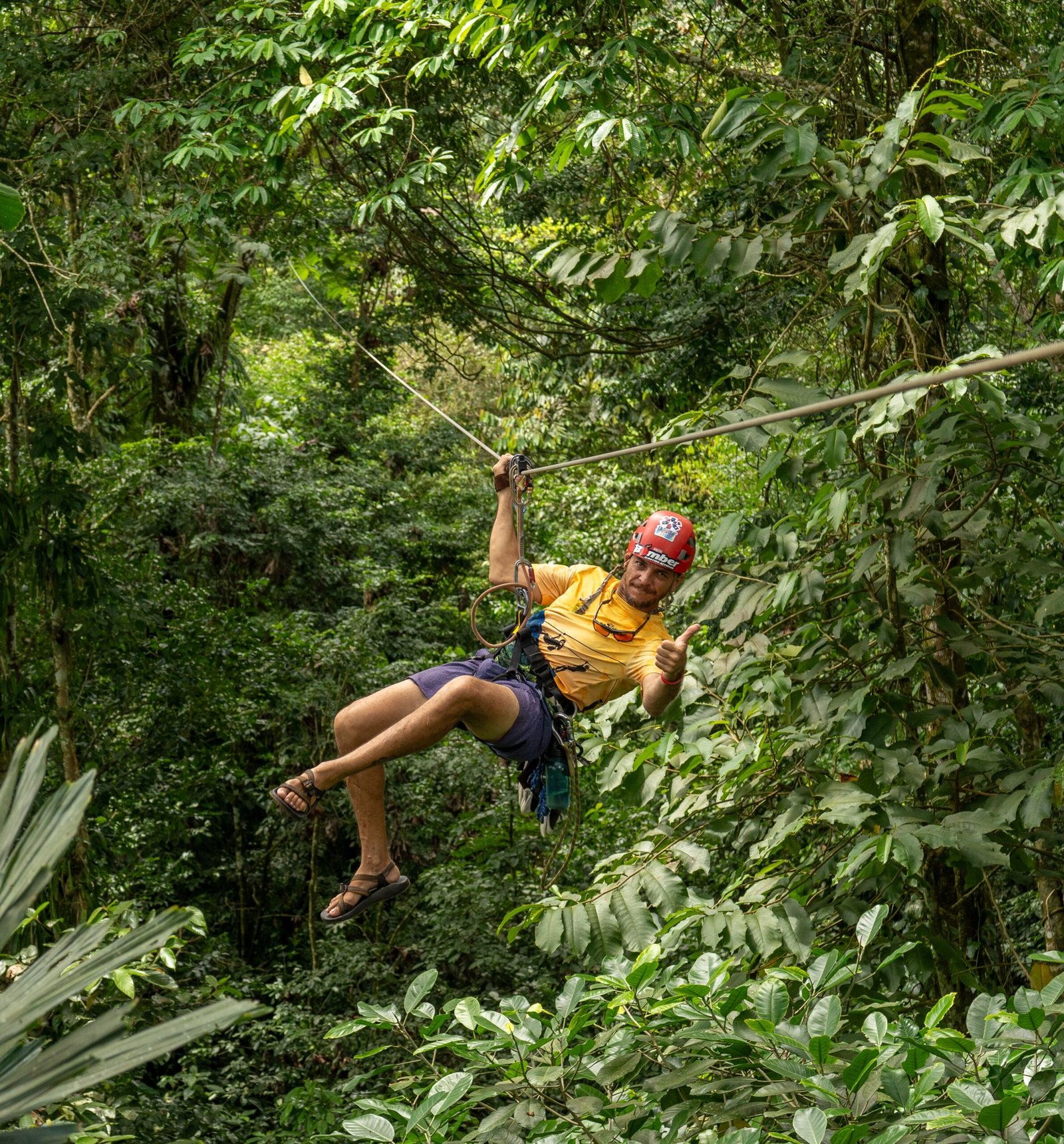Arenal Jungle Tours – Encuentra el tour perfecto para conocer el Volcán ...